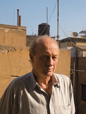 David Sims - The American University in Cairo Press